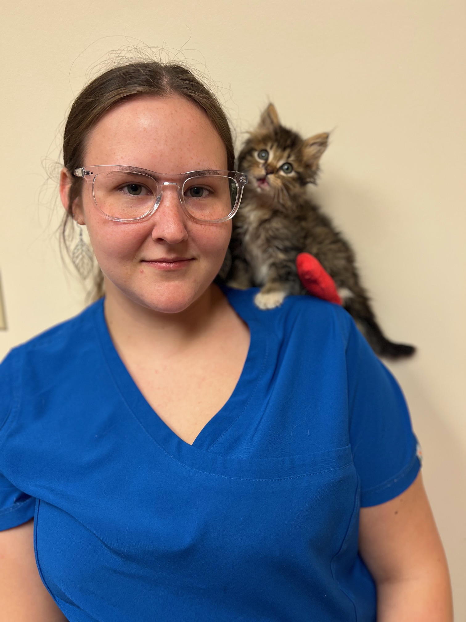 Vet Technicians in Ozark, MO | Ozark Veterinary Clinic